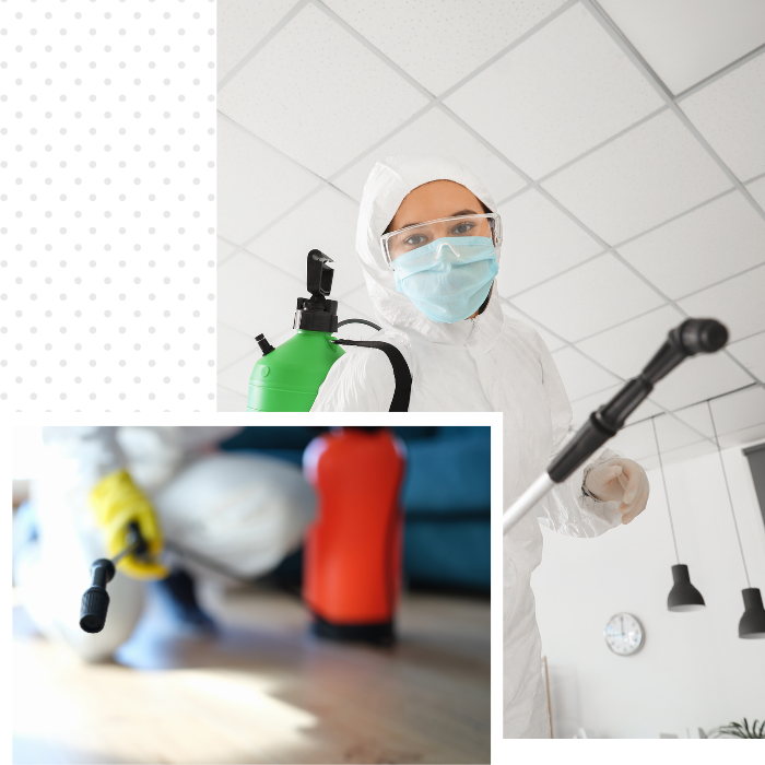 Expert Infection Prevention in BC - Quick Start Restorations